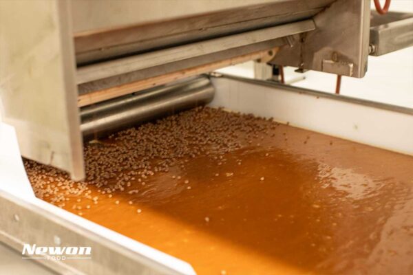 Gallery | Newon Food